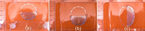 Microfluidics For Soft Electronics Intechopen