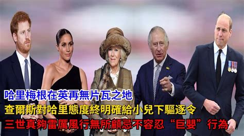哈里梅根在英再無片瓦之地，查爾斯對哈里態度終明確，給小兒下驅逐令，不容忍“巨嬰”行為梅根哈里王子 查尔斯凯特 威廉王子卡米拉英