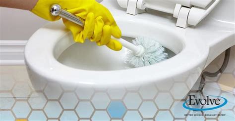 Calcium Buildup In Toilet Why Does It Happen And How Can It Be Removed