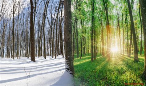 Iitm Tech Talk Contributing To A Better World