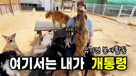 유기견 봉사활동하는 부부 Part2 Youtube