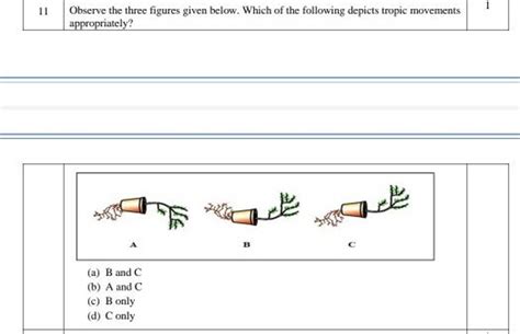 11 observe the three figures given below which of the following depicts