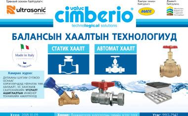 Ultrasonic LLC – Герман чанарыг монголд