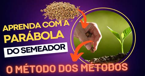 A Parábola Do Semeador Uma Reflexão Roteiros Bíblicos