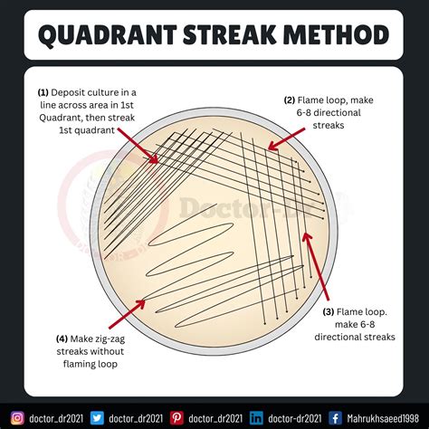 Streak Plate Method A Complete Guide For Microbiologists