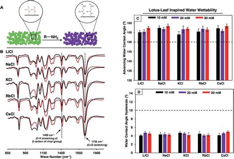 A Schematic Illustration Of Porous Polymeric Materials With Random Download Scientific