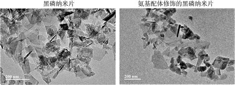 一种具有抗菌功效的黑磷纳米材料及其制备方法与流程