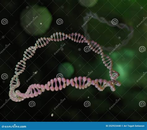 Plasmid And Recombinant Bacterial Dna Cartoon Vector Cartoondealer