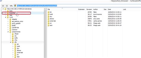 conceitos do controle de versão criando branchs e tags utilizando