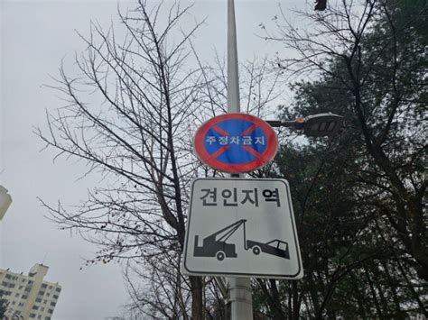 노란 점선 주차 가능 여부 및 실선 주정차 기준 안내 네이버 블로그