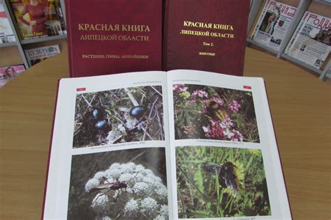 Красная Книга Липецкой Области Фото — Фото Картинки