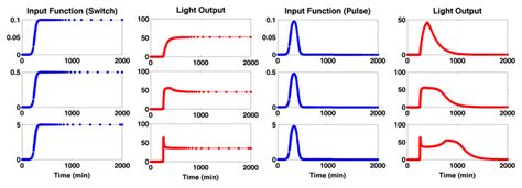 Relationship Between Promoter Activity And Light Output Nonlinear