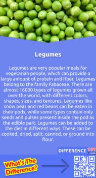 Legumes Vs Lentils Key Differences Pros Cons Examples Difference