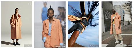 Youll Crush On Wgsn And Coloros 2024 Color Of The Year Home Accents