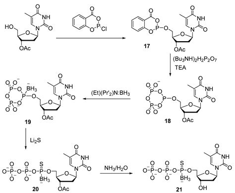 Synthesis And Properties Of α Phosphate Modified Nucleoside Triphosphates