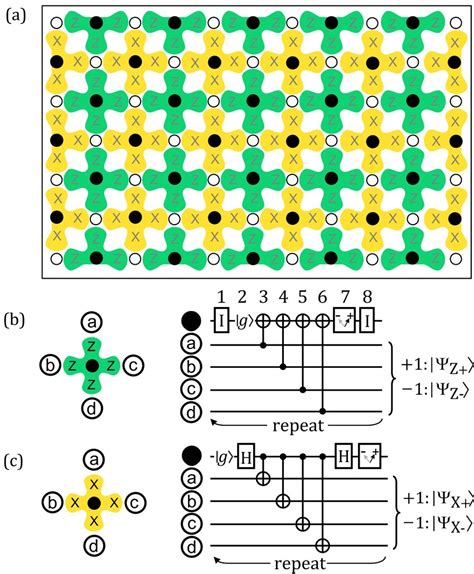 a 2d surface code data qubits and measurement qubits are open