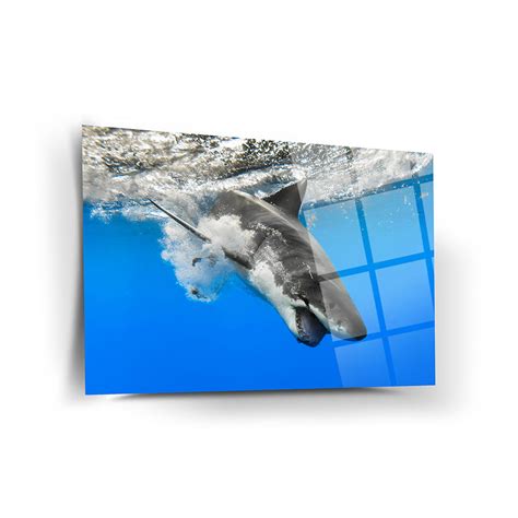 Shark Wall Decor – Dekadron