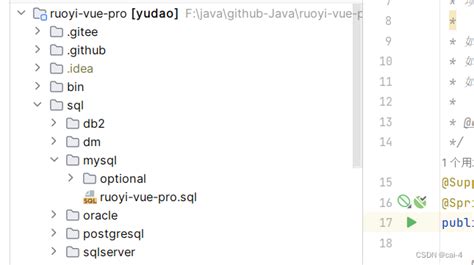 RuoYi Vue Pro框架学习启动教程 ruoyi pro CSDN博客