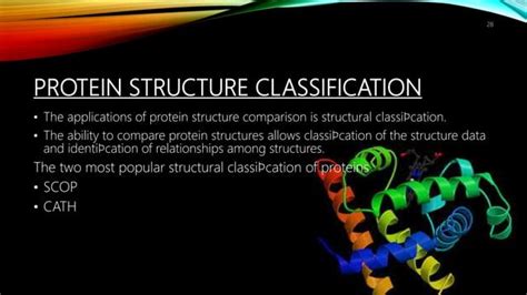 Structural Bioinformatics Pptx