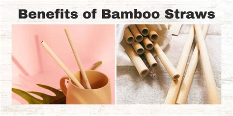 Benefits Of Bamboo Straws Meserii