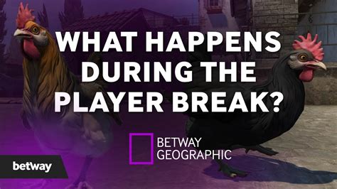 What Happens During The CS GO Player Break YouTube
