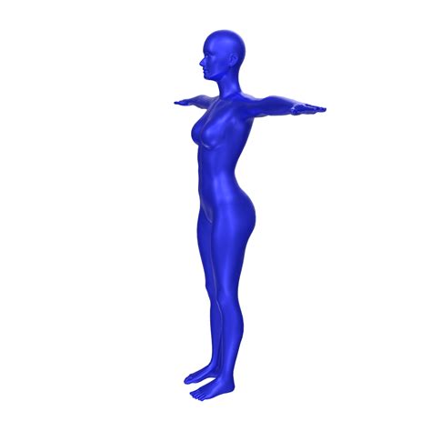 Female Basemesh Isolated On Transparent PNG