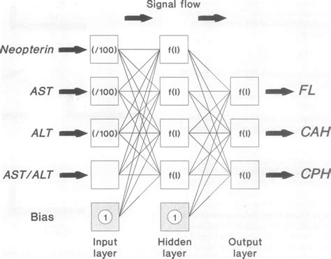 the basic feed forward network the signal flow proceeds from the input