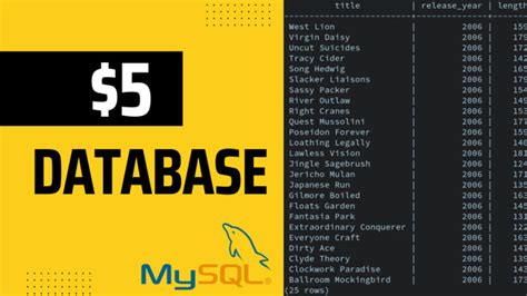 Help You Create A Database And Get Benefits Of It By Saeedbin Fiverr