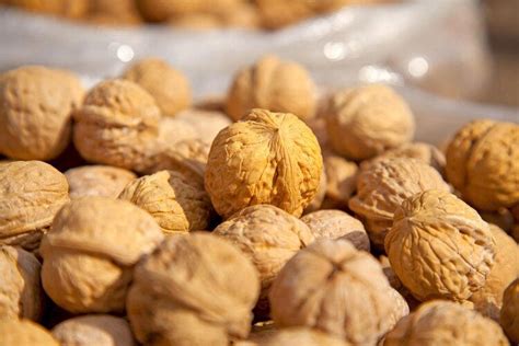 牛奶中全是防腐剂，有毒还致癌？真正要少喝的是这3种“假牛奶”