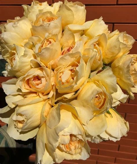 Likuhotalu Vardomania