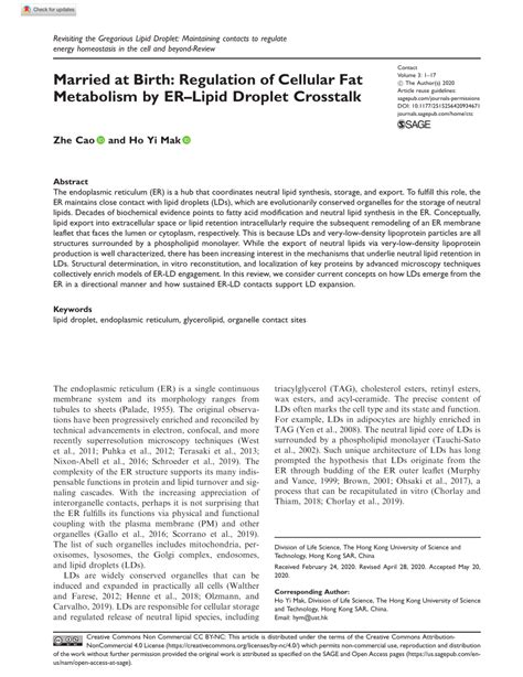 Pdf Married At Birth Regulation Of Cellular Fat Metabolism By Er