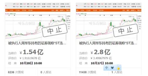 新疆浩源控股股东股份二拍中止，占款三年还款难，前期已有调解案例财富号东方财富网