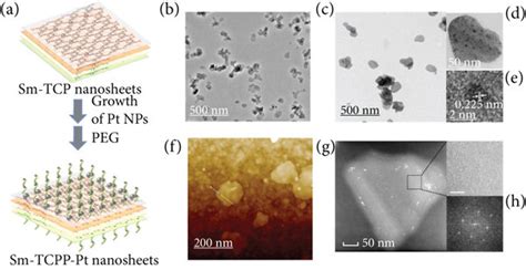 A Preparation Of Sm Tcpp Pt Nanosheets And Its Tem Images Download Scientific Diagram