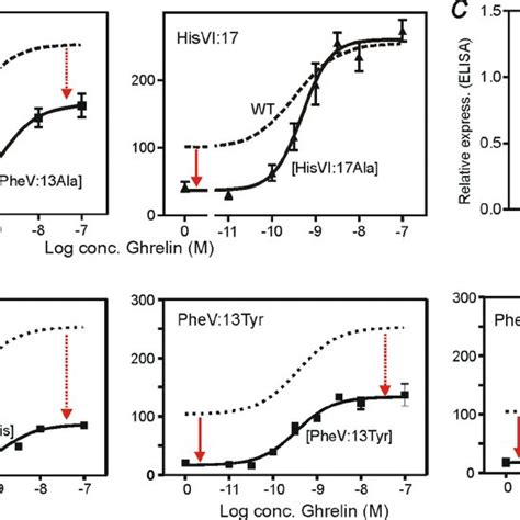 Mutational Analysis Of Phe V13 And His Vi17 In The Ghrelin Receptor