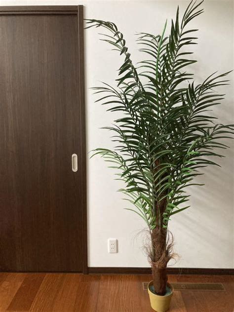 人工観葉植物 フェイクグリーン 観葉植物