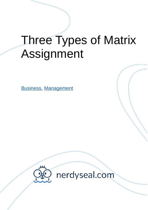 Three Types Of Matrix Assignment Words NerdySeal
