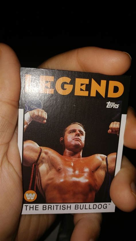 Pin By Metta Worldcinco On Wwe Giant Legends Superstars Wwf Wcw Ecw Tna