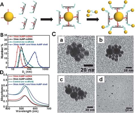 Assembly Of Heterogeneous Core Shell Nanoclusters Containing 30 Nm