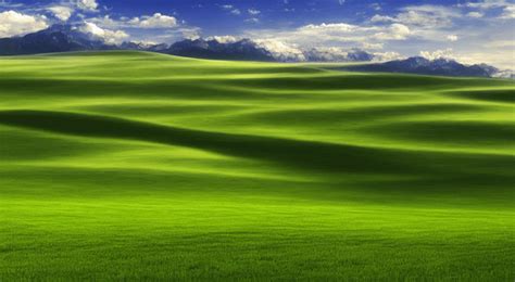 Microsoft Windows Xp Default Wallpaper