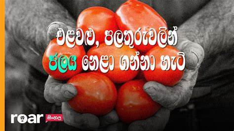 එළවළු පලතුරුවලින් ජලය නෙළා ගන්නා හැටි Youtube