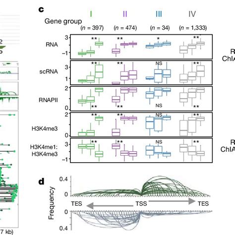 Promoter Centred Multiplex Chromatin Interactions Provide Topological Download Scientific