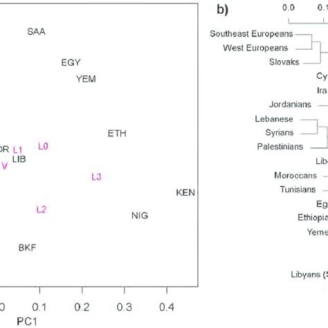 Populations Comparison Based On Mtdna Haplogroups A Principal