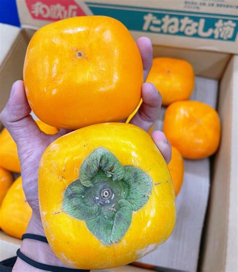 เปนไท ผลไม้ไทย Tone Wase Persimmon 🍅 Tonewase