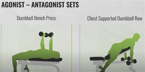 Supersets Explained Benefits Programming And More BarBend