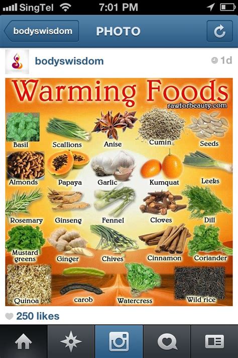 21 Best Chinese Medicine Images On Pinterest Acupuncture Alternative