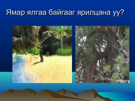 Монгол орны байгалийн бүс