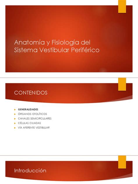 Clase 1 Anatomía Y Fisiología Del Sistema Vestibular Periférico Pdf