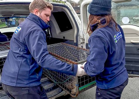 Cornish Seal Sanctuary Photo Gallery