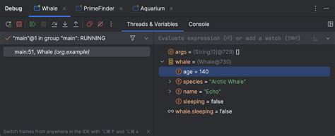 Debug（调试）工具窗口 Intellij Idea 文档