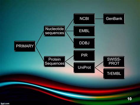 primary and secondary database ppt databases computer software